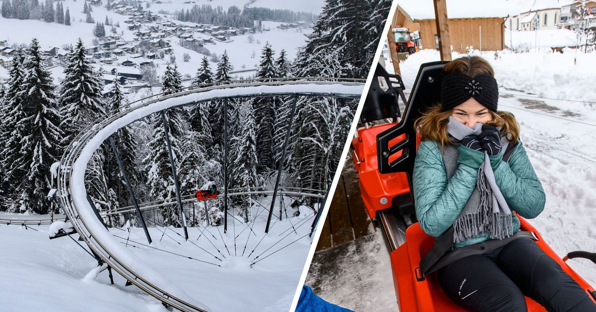 Alpine Coaster in der Wildschönau: Ritt auf dem Drachen durch Eis und ...