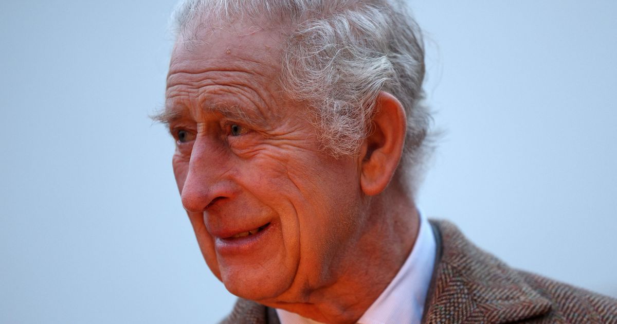 König Charles' Bild veröffentlicht: Porträt für öffentliche Gebäude ...