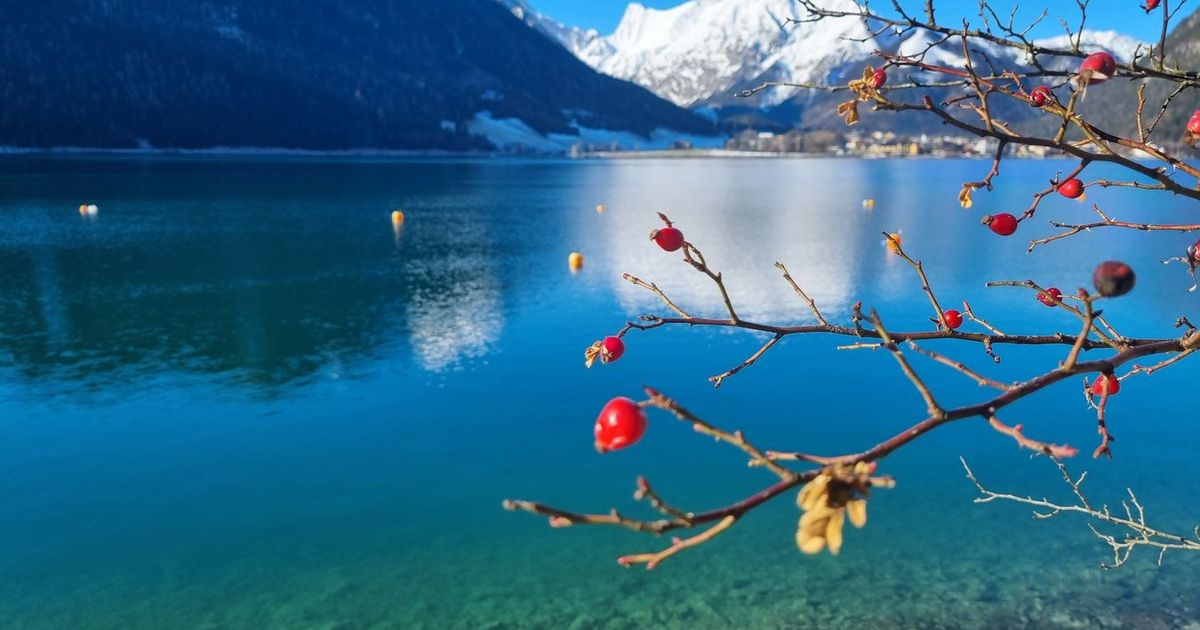 Sonne und bis zu 15 Grad: Es wird frühlingshaft, doch Winter-Comeback ...