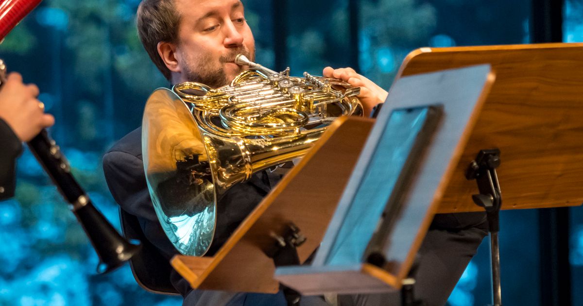 Felix Klieser wurde ohne Arme zum gefeierten Spitzenmusiker: Und es ...