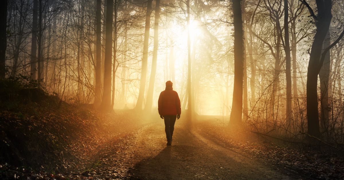 Darum sollte man in Tirol jetzt im Herbst am Vormittag eine halbe Stunde draußen sein | Tiroler ...