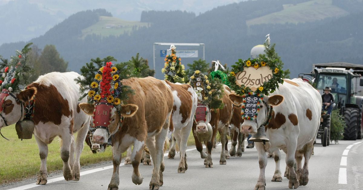 Kultur-Tourismus in Tirol Ergänzung statt Zugpferd | Tiroler ...
