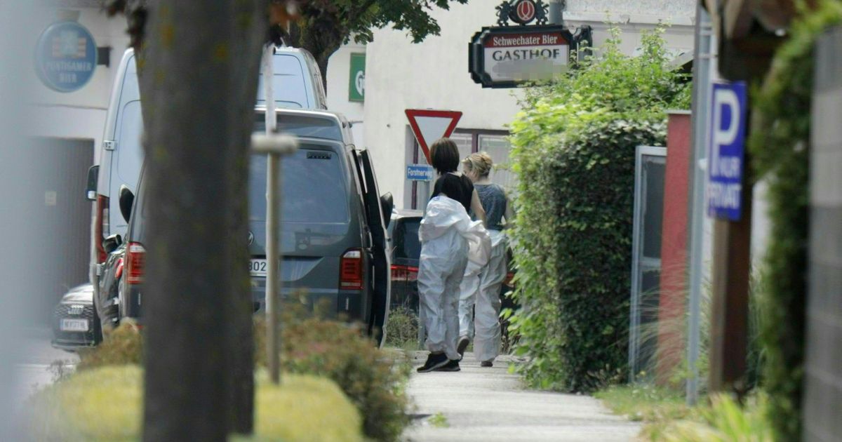 Bericht der Gerichtshilfe: Mutmaßlicher Taylor Swift-Terrorist offenbar ...