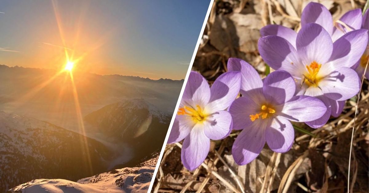 15 Grad und jede Menge Sonnenschein: Frühling kommt in Tirol bald ...