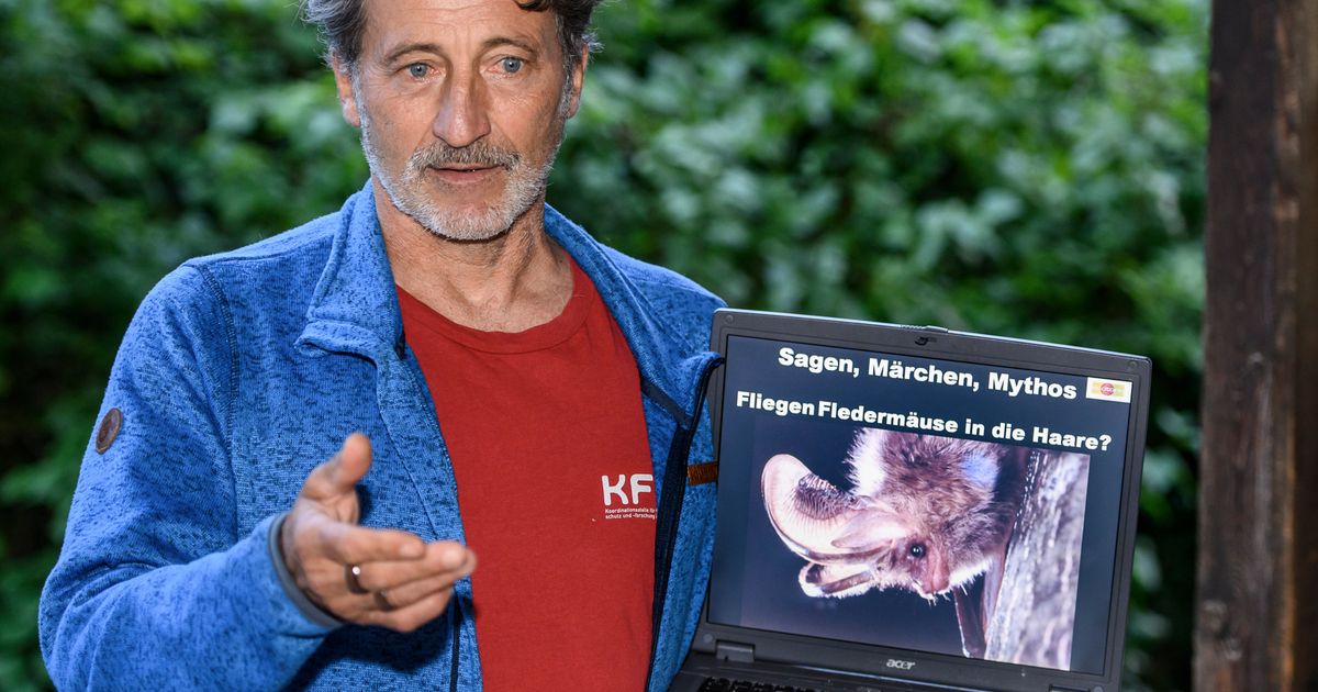 Trauer um Tiroler Fledermaus-Experten: Toni Vorauer überraschend ...