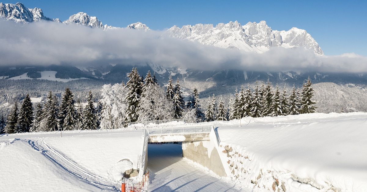 Bergbahn Going investiert in Komfort | Tiroler Tageszeitung – Aktuelle ...