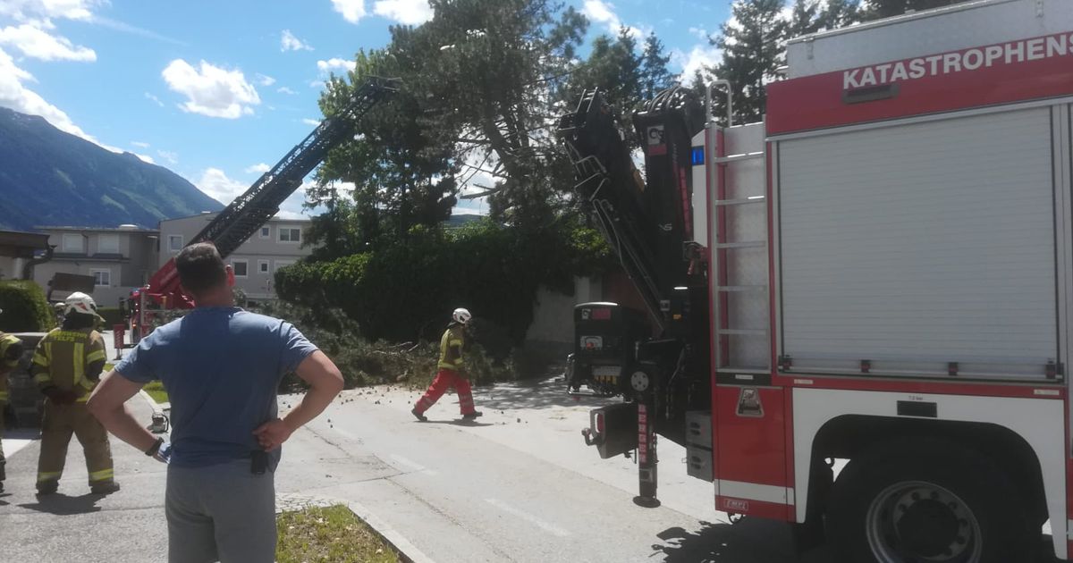 Von Windböe umgerissen: Großer Baum drohte in Telfs auf Straße zu ...