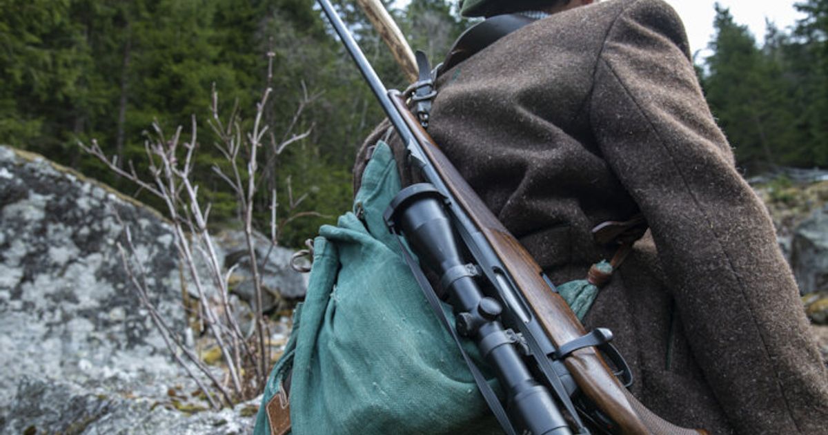 Hirschabschuss im Visier: Neue Ermittlungen zur Benko-Dornauer-Jagd ...